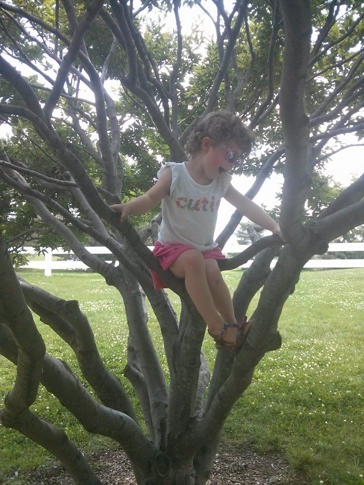 Climbing Trees | Ordinary Time